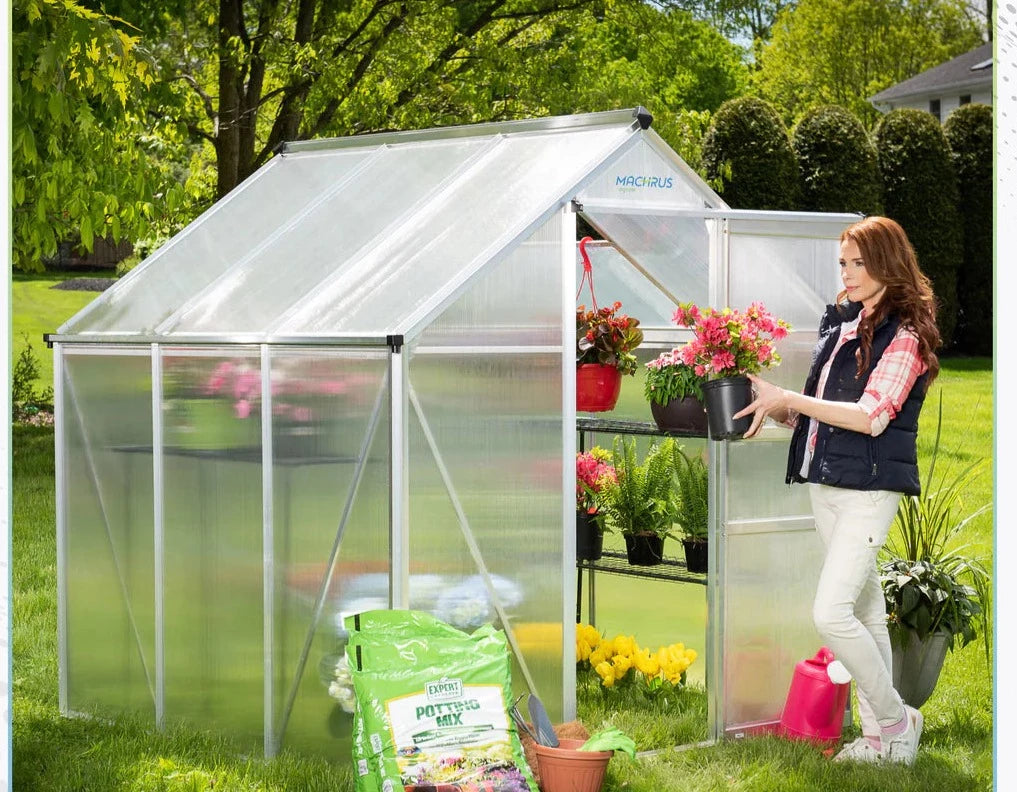 Ogrow 6 x 8 FT Walk-In Greenhouse with Sliding Door and Adjustable Roo ...
